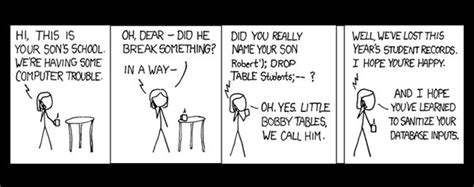How Hackers Take Over Web Sites With SQL Injection And DDoS Programmer Jokes Programing Jokes