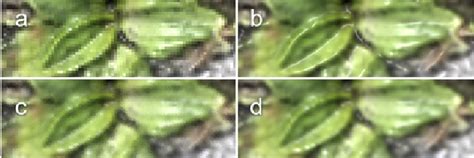 Figure 1 From Random Access Neural Compression Of Material Textures