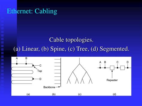 Ppt Chapter 4 The Medium Access Control Sublayer 介质访问子层 Powerpoint Presentation Id6353557