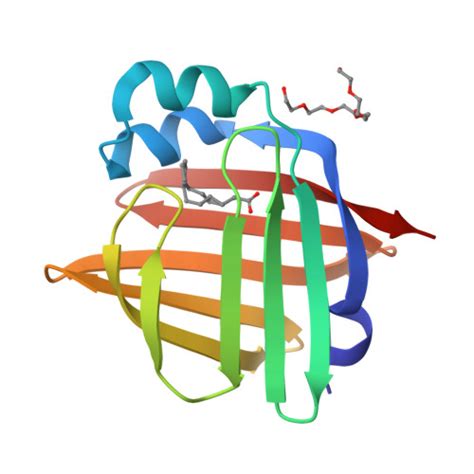 Rcsb Pdb 7x48 The 0 86 Angstrom X Ray Structure Of The Human Heart Fatty Acid Binding Protein