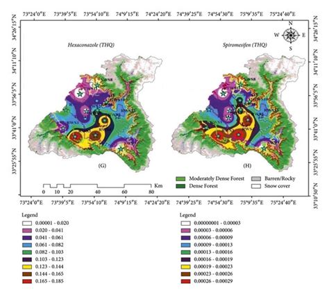 A Interpolation Diagrams A And B Showing Spatial Distribution Of Download Scientific