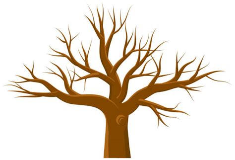1100 Clip Art Of Trees Without Leaves Stock Illustrations Royalty