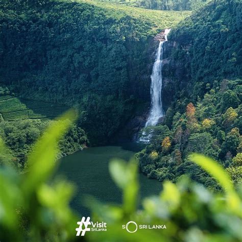 Supun Abeysinghe Posted On Linkedin