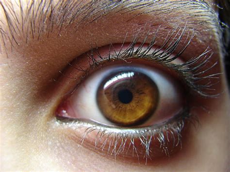 Dilated Pupils Weed Dilated Pupils Weed