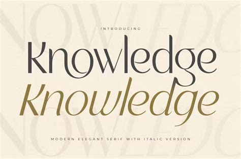 Knowledge Font Freedafonts