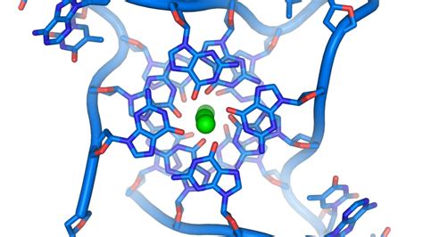 Will We See The Digital Genome Emerge And Expand Digital Journal