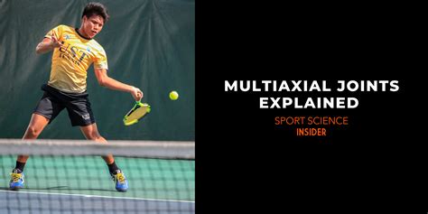 Multiaxial Joints Explained Sport Science Insider