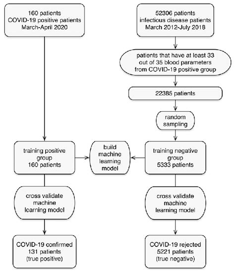 A Flow Chart Of Patients Included In The Model Building And Validation
