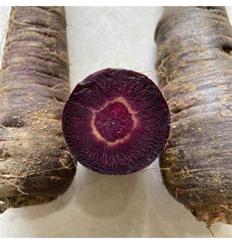 24년 국내산 햇 자색당근 보라당근 2kg특품 티몬