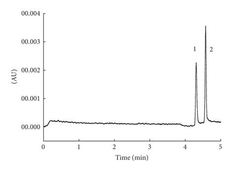 Effect Of Different Buffer Concentration On The Separation