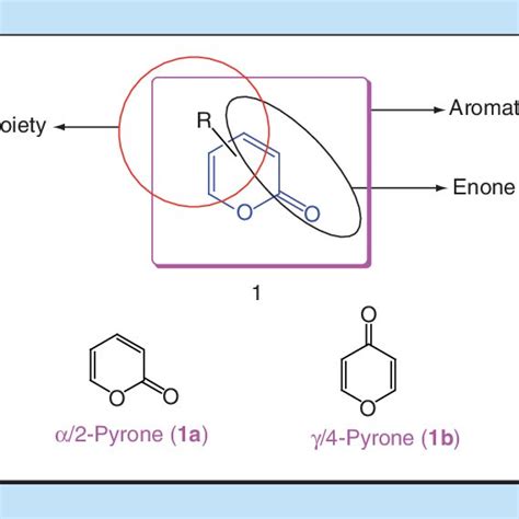 Pdf α Pyrones And Their Hydroxylated Analogs As Promising Scaffolds