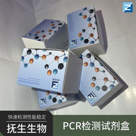 牛副结核分枝杆菌mpb核酸检测试剂盒荧光pcr法