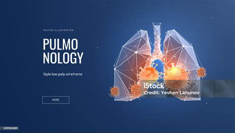 폐 질환 낮은 폴리 와이어 프레임 스타일 폐와 폐 질환의 개념 파란색 배경에 고립 된 다각형 추상 적 Creativ 벡터 그림입니다 코로나바이러스에 대한 스톡 벡터 아트 및