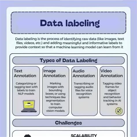The Infographic About Data Labeling Types Challenges Tools Pdf