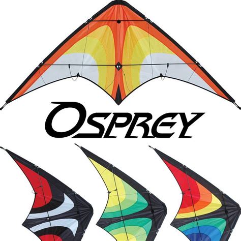 How To Fly A Stunt Kite Kitty Hawk Kites