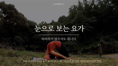 깊은 호흡과 함께 눈과 마음으로 따라하는 요가 깊은 후굴 우스트라사나 카포타사나 Youtube