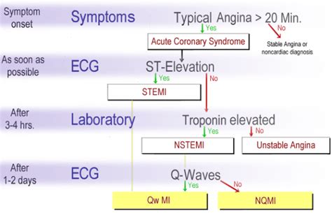 Myocardial Infarction Heart Attack — Stemi Vs Nstemi Lecturio