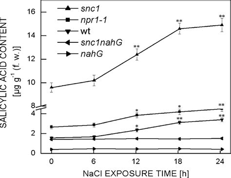 Time Course Of Effect Of NaCl Exposure At 200 MM On SA Levels In Leaves Download Scientific