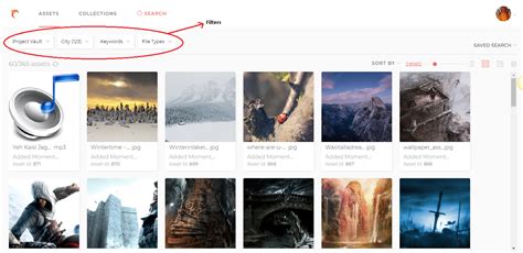 Web Client Branding And Configuration Evolphin Documentation