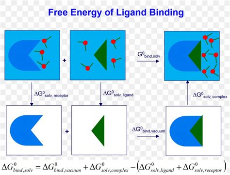Scoring Functions For Docking Solvation Ligand Energy Png 1438x1098px