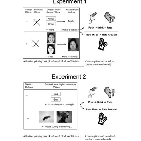Sequence Of Events In Experiment 1 Top Panel And Experiment 2