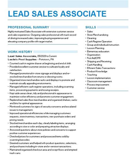 Lead Sales Associate Resume Example