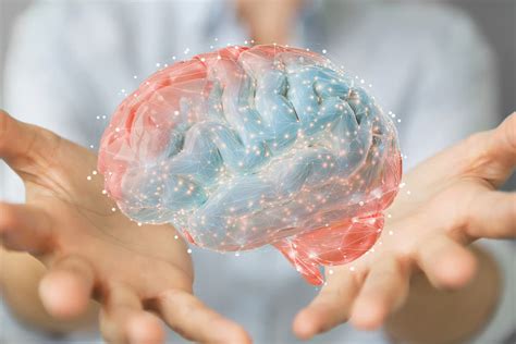 adhd and parkinson s disease linked to gene driven brain volume weird