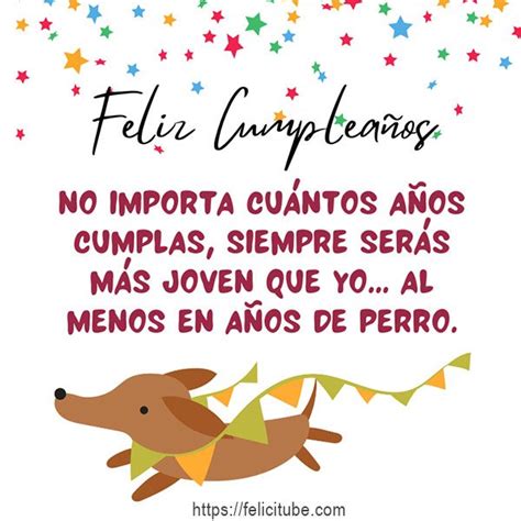 Imagenes Feliz Cumpleanos Chistosos Imágenes De Feliz Cumpleaños