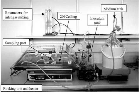 Wave Bioreactor With 20 L Cellbag Fitted With Medium And Inoculum Tank