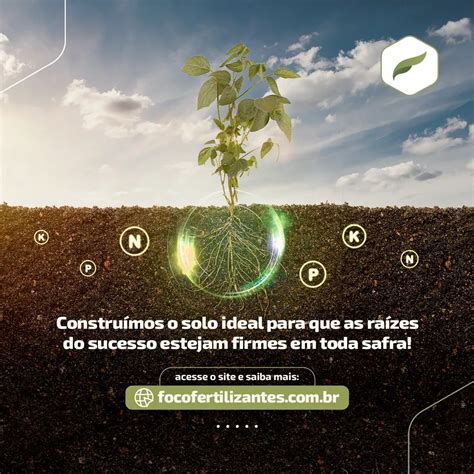 The Growth Of A Plant