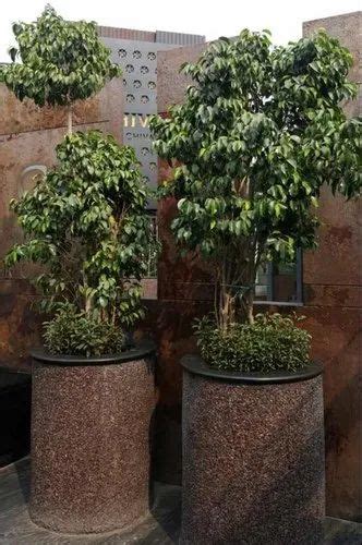 Ff Stonecrete Exposed Aggregate Render Stonecrete Exposed Aggregate