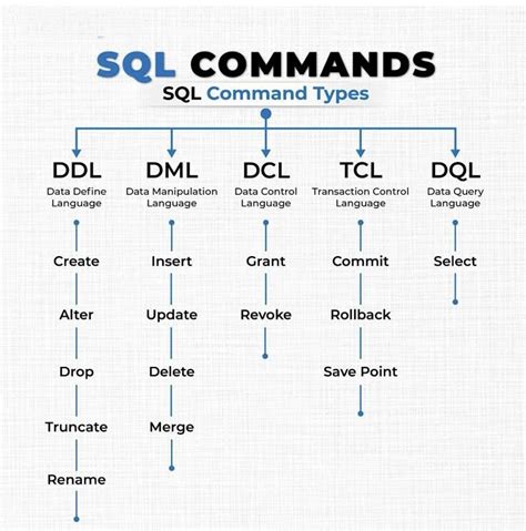 Sql Commands And Types Muhammad Adnan T