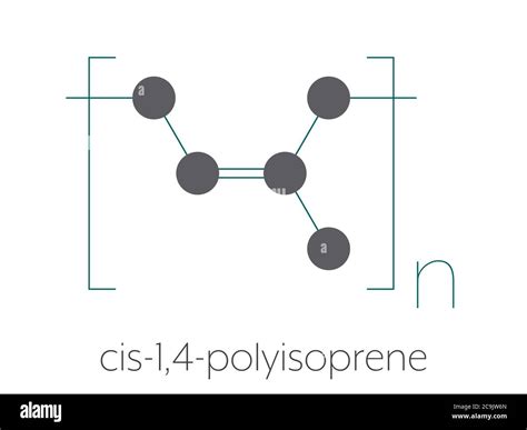 Natural Rubber Cis 1 4 Polyisoprene Chemical Structure Stylized Skeletal Formula Atoms Are