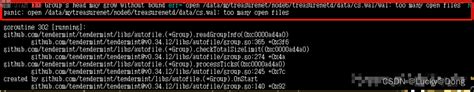 【linux】报错 Too Many Open Filelinux Too Many Open Files Csdn博客