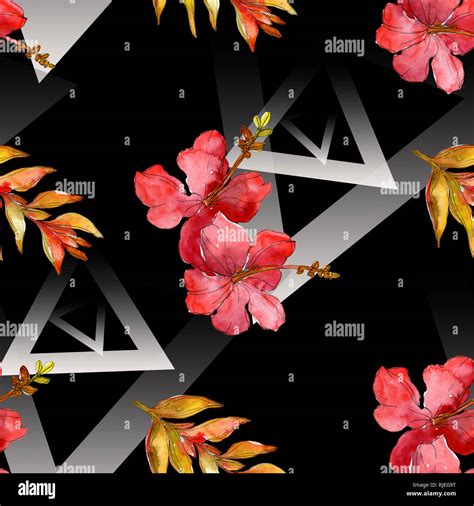 Loral Botanical Flower Wild Spring Leaf Wildflower Isolated Watercolor Background Illustration