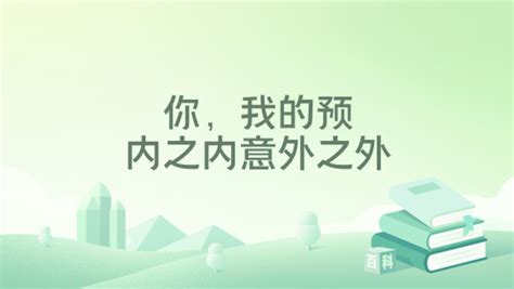 你，我的预内之内意外之外百度百科