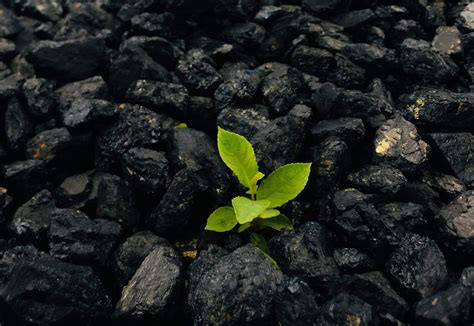 Biochar And Its Uses Khethari