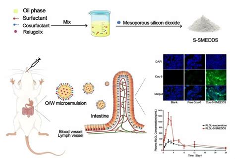 Solid Self Microemulsifying Drug Delivery System For Improved Oral