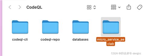 【作者踩坑总结0错版】vscode配置codeql Macbookm1m2芯片 Armcodeql分析软件对源码语言有什么要求 Csdn博客