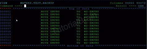 jcl disp parameter — tutorialbrain