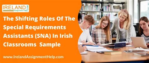The Shifting Roles Of The Sna In Irish Classrooms Essay Sample