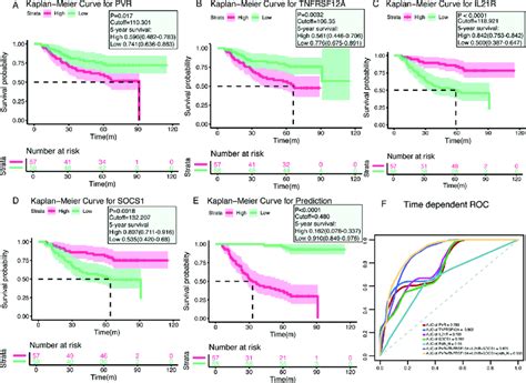 Immunohistochemistry Ihc Validation Of Prognostic Factors In Head And