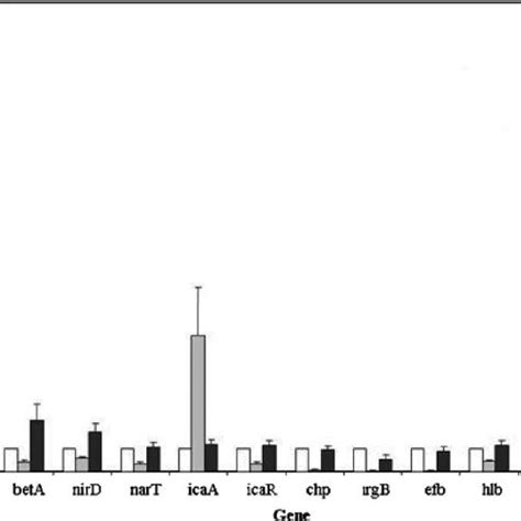Confirmation Of Microarray Results Using Real Time Rt Pcr Rna Was Download High Quality