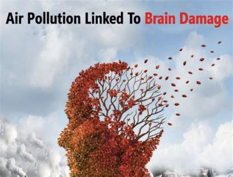 How To Biohack Your Intelligence — With Everything From Sex To