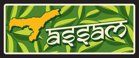 Assam Vector Images Over 700