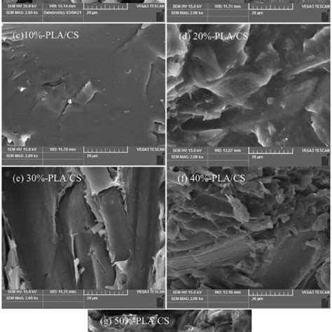 Surface Sem Micrographs Of Fractured Pla Cs Composites With Various Download Scientific
