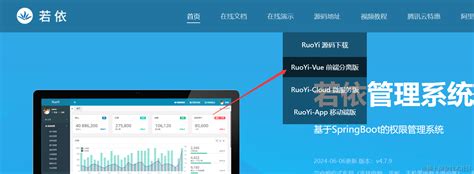 【若依java】15分钟玩转若依二次开发，新手小白半小时实现前后端分离项目，springbootvue3element Plusvite