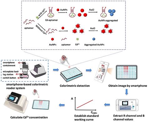 Progress In The Design Of Portable Colorimetric Chemical Sensing Devices Nanoscale Rsc
