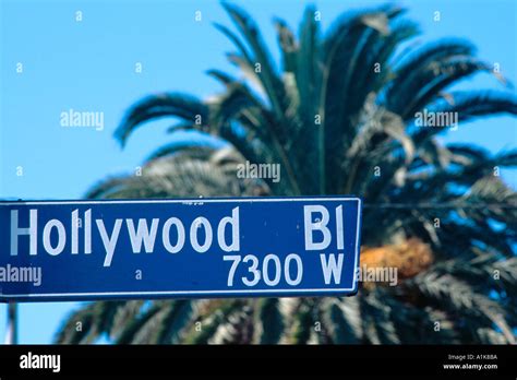 Hollywood Boulevard Sign Hollywood Los Angeles California Usa Stock