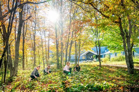 What Is Regenerative Architecture